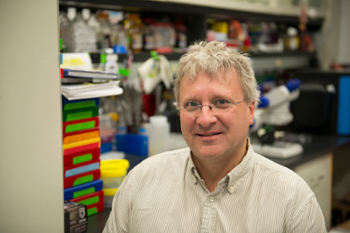 Announcement: Dr. Frank Beier has been re-appointed as Chair ...