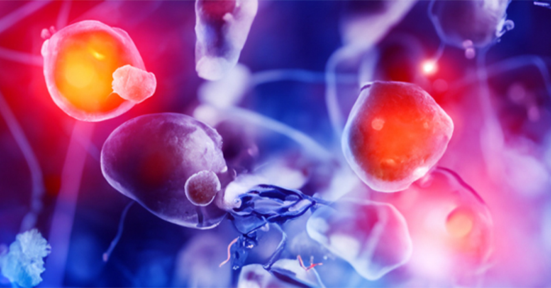 New study using nuclear medicine and rare isotopes in the fight against ...