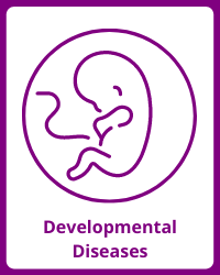 Developmental Health & Disease - Anatomy and Cell Biology - Western ...