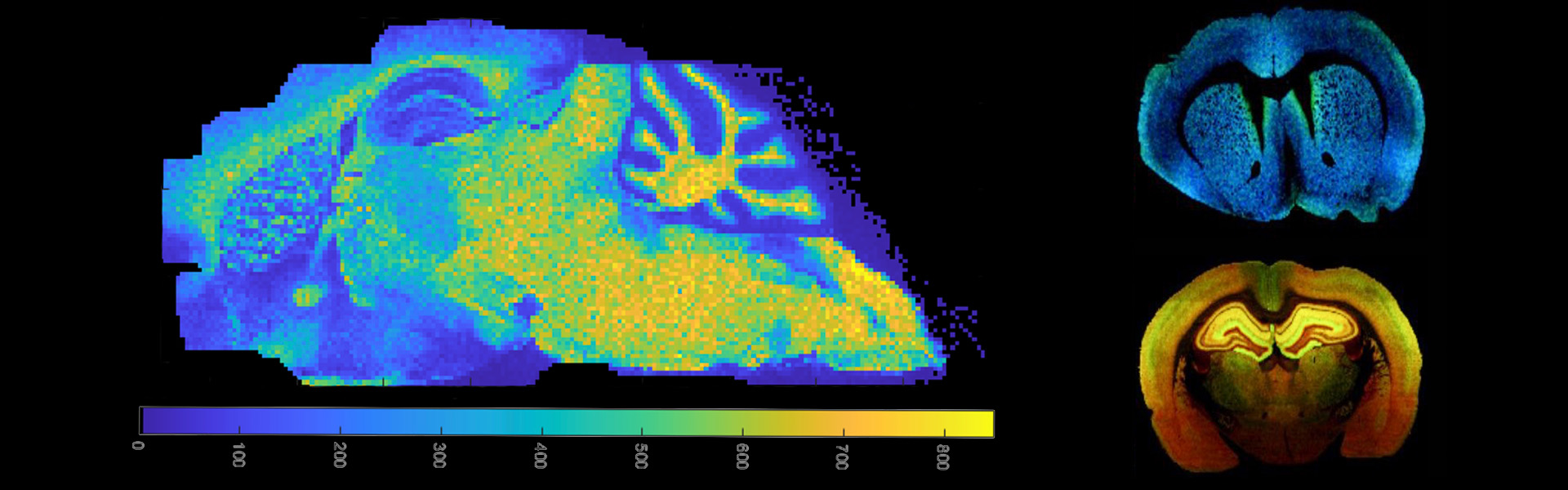 Welcome to BioCORE - BioCORE - Western University