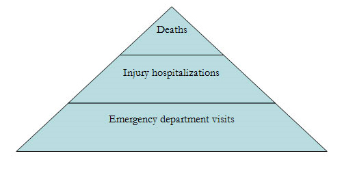 About Us - Population and Community Health Unit - Western University