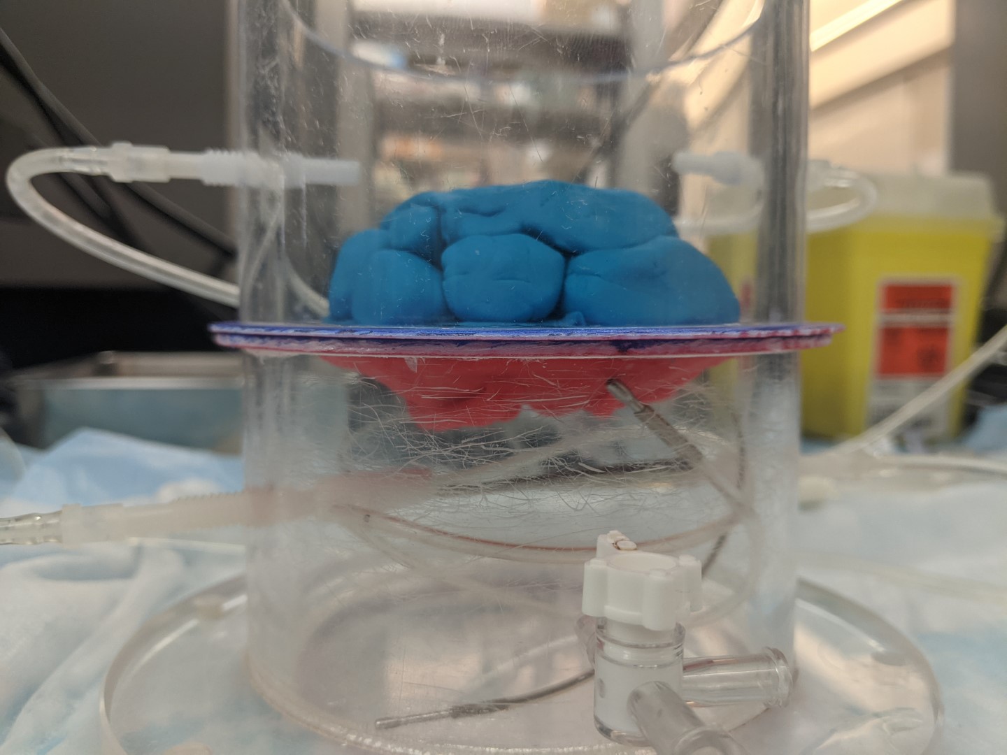 Lab Photos - Hutson & Garcia-Bournissen Lab - Western University