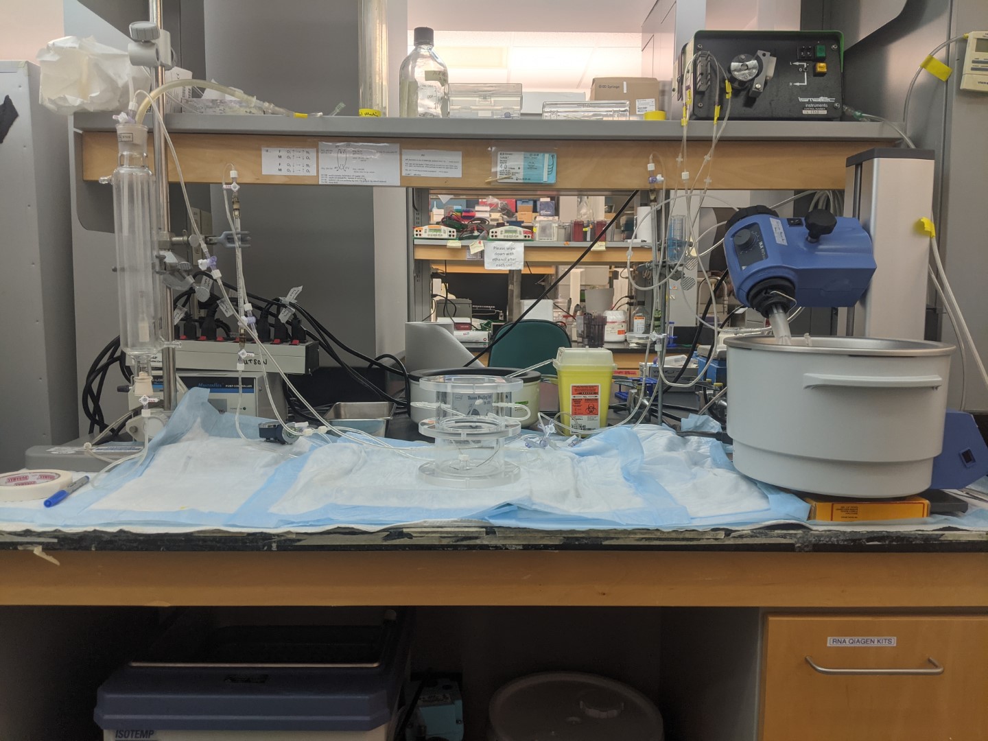 Lab Photos - Hutson & Garcia-Bournissen Lab - Western University