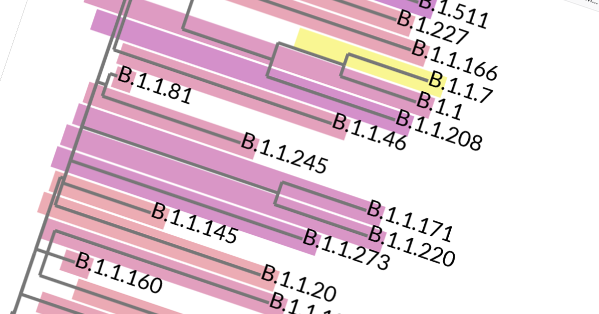Feature: New software provides detailed picture of COVID-19 virus ...