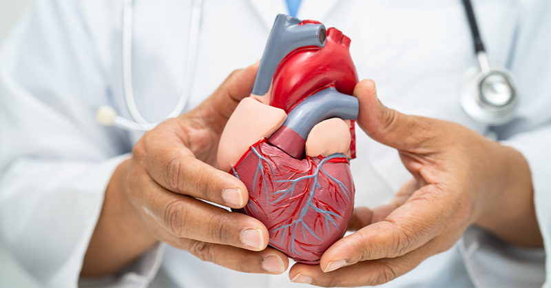 Study explores why South Asians have higher rates of heart disease ...