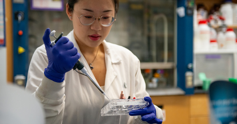 Clinician-scientist candidate serves both patients and country with a ...