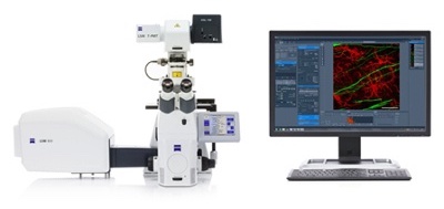 Zeiss LSM800 Confocal Microscope with Airyscan - The Laird Laboratory ...
