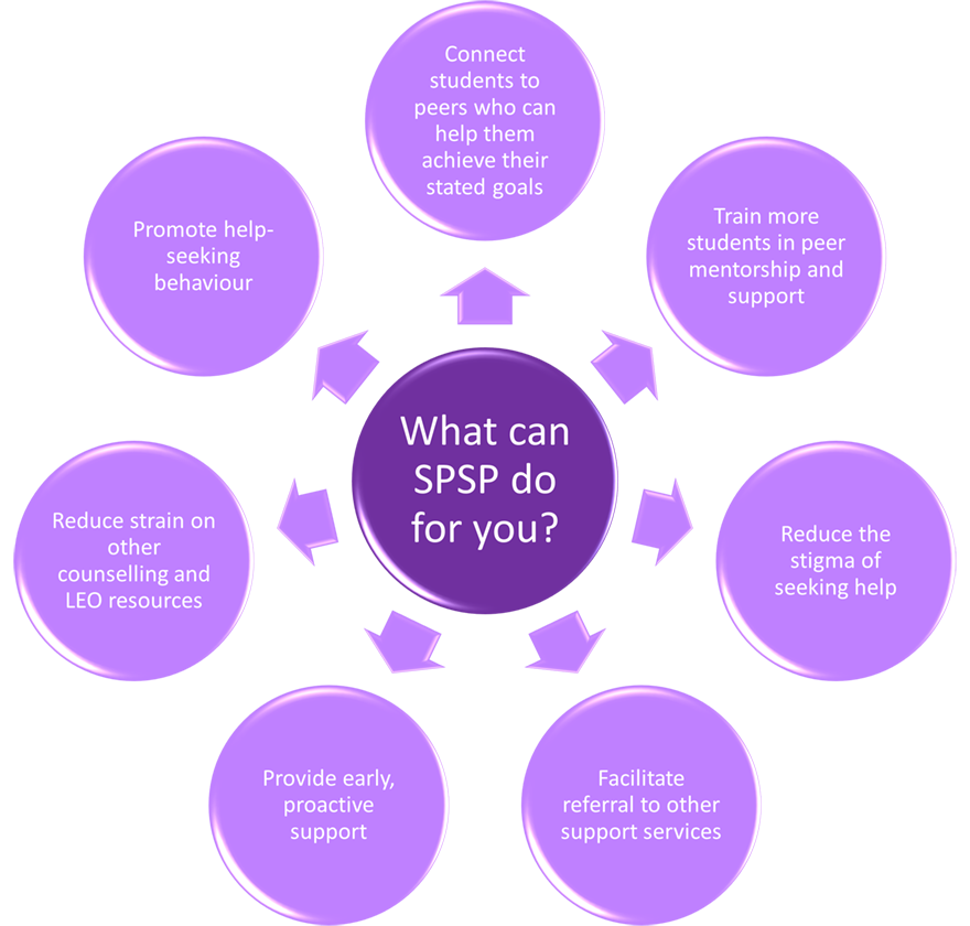 Schulich Peer Support Program - Learner Experience - Western University