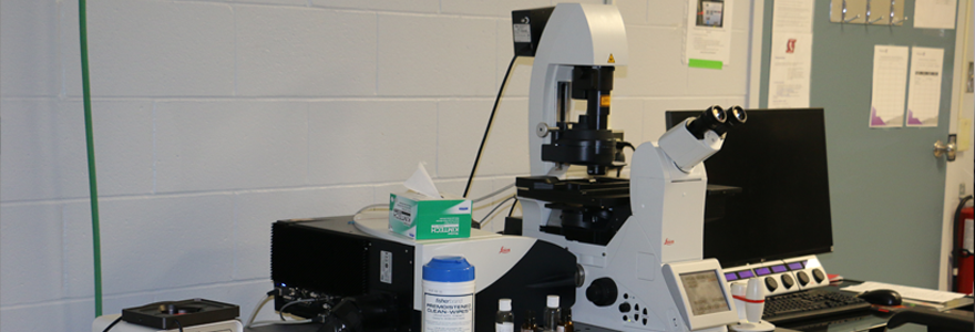 Leica SP8 Confocal Microscope - LRMF - Western University