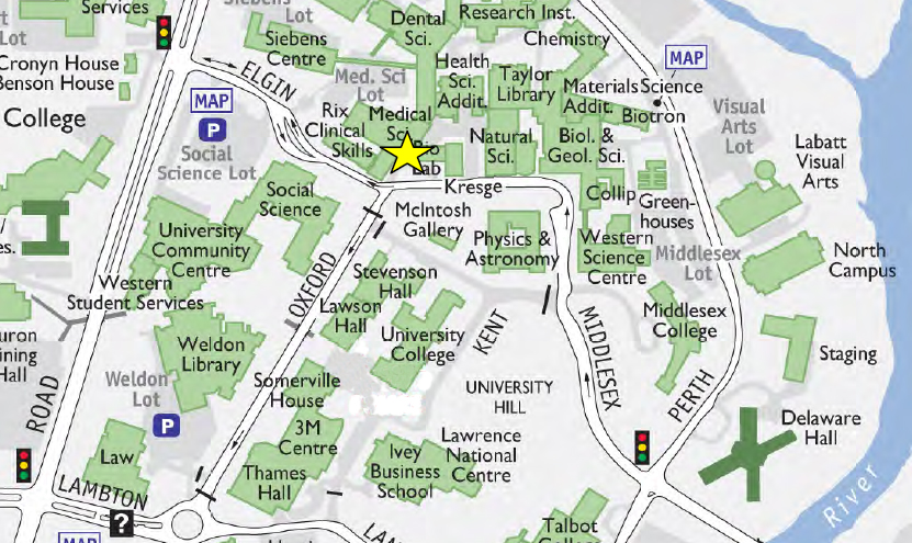 Contact - McKenzie Lab - Western University