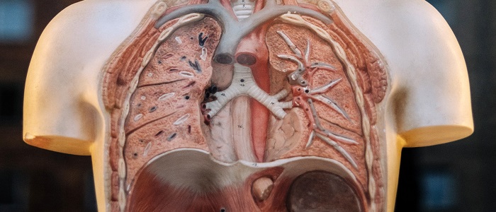 Respirology - Paediatrics - Western University