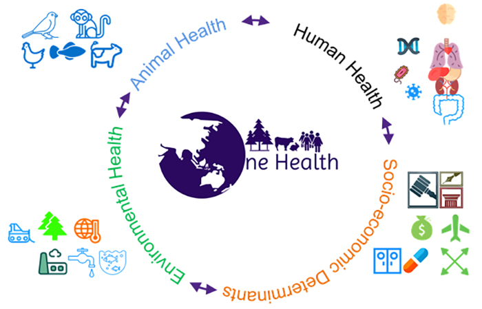 One Health - Pathology and Laboratory Medicine - Western University