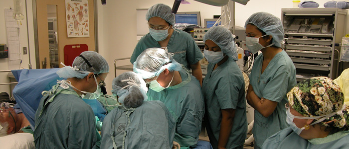 Plastic and Reconstructive Surgery - Western University