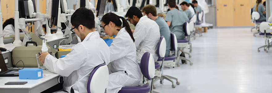 The Next Level in Simulation Training - Rapport - Western University