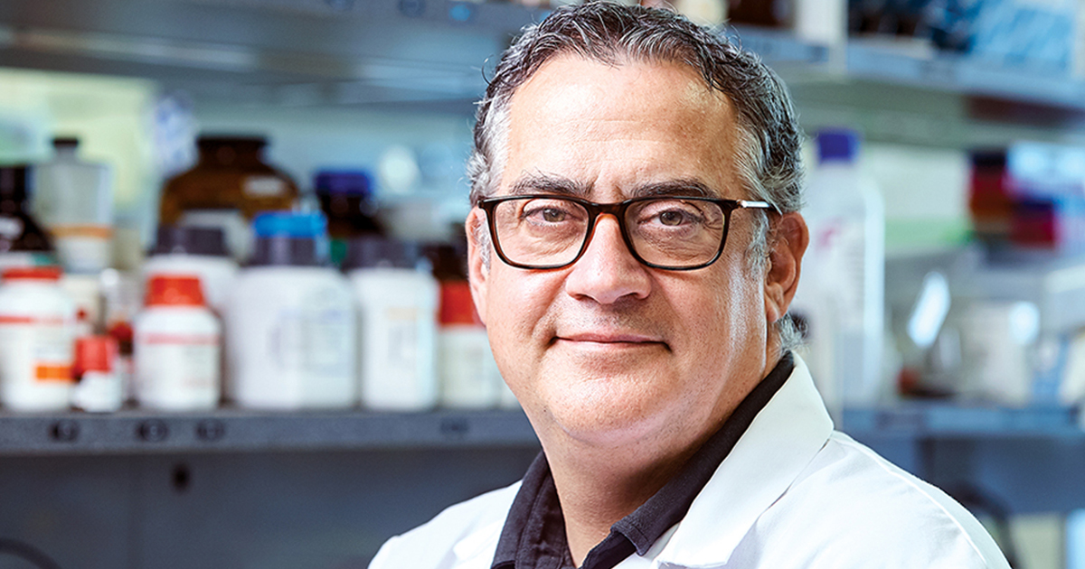 Making strides toward a cure for diabetes - Rapport - Western University