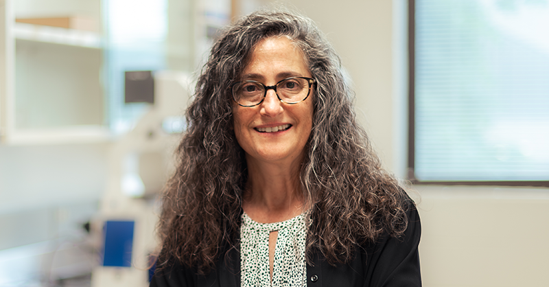 Top immunologist hopes to paint new picture of how infectious diseases ...
