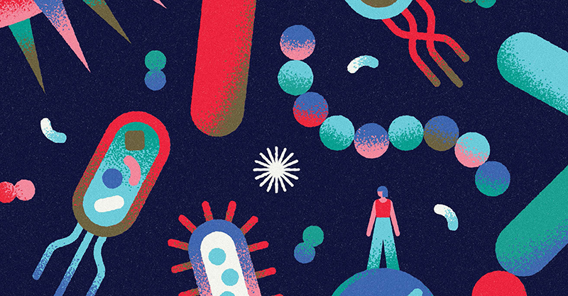 Superbugs - Rapport Magazine 2024 - Western University