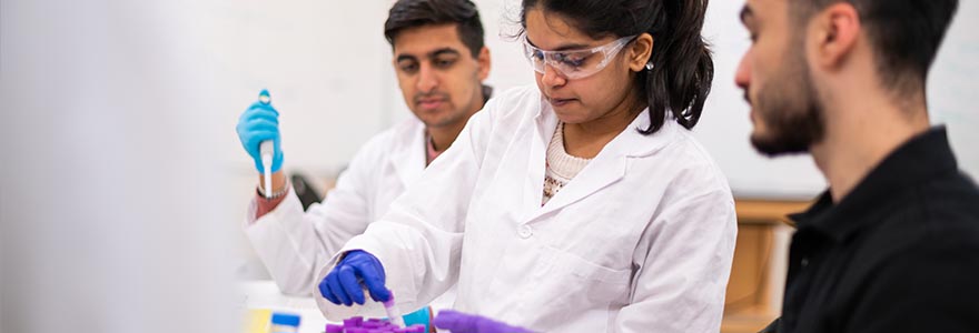 Clinical Research Training Programs - Schulich Research Office ...