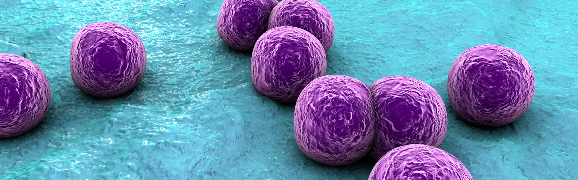 Schulich Research Office - Western University