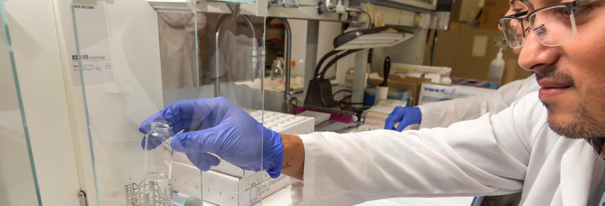 SRTP Project Description - Schulich Research Office - Western University